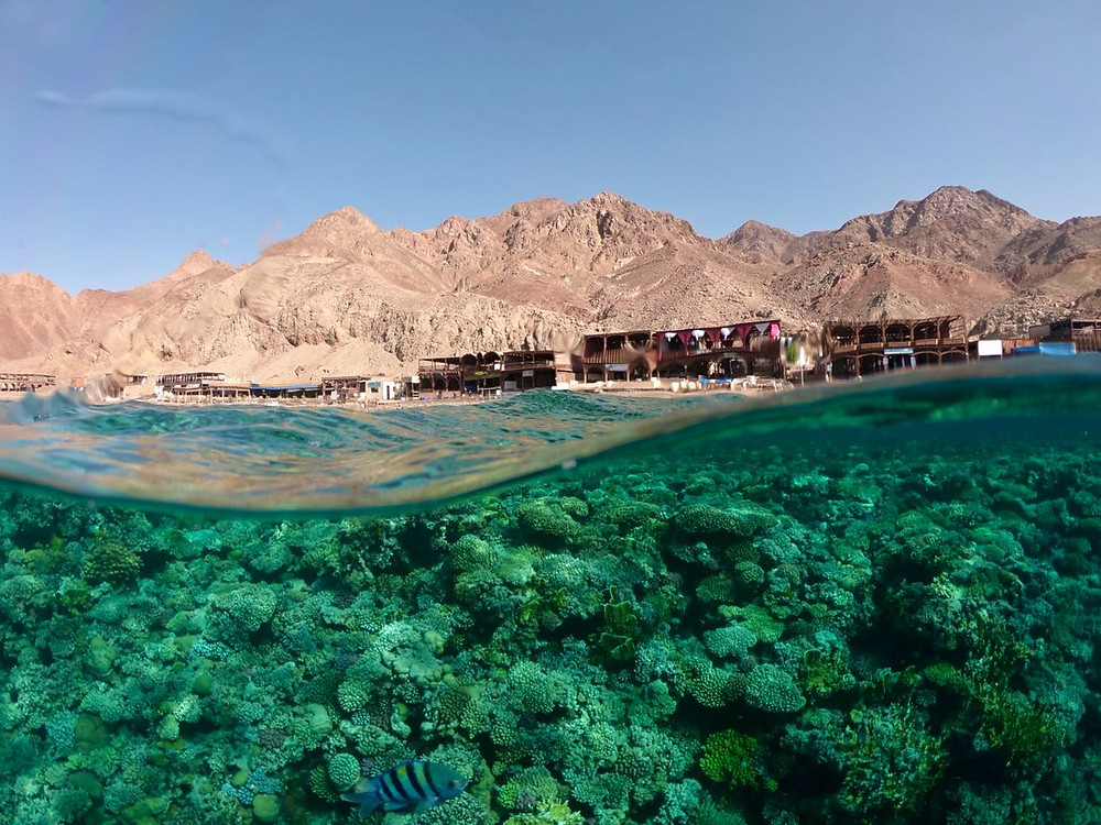 Full Day Dahab (Joint Tour) | Egyptian Tours Empire
